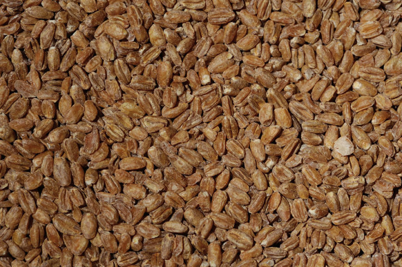 Whole Kernel Organic Dark Brown Bulgur – Sunnyland Mills