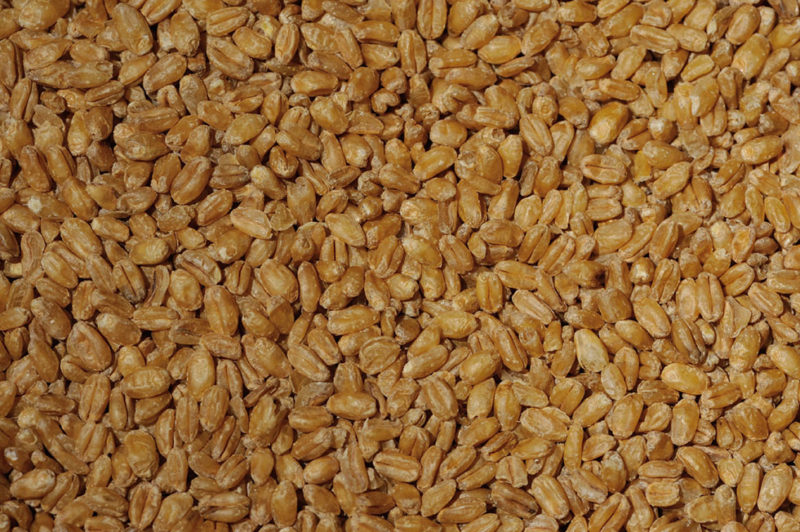 Our Products – Sunnyland Mills